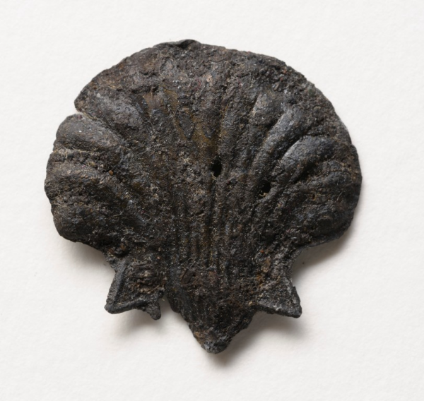 Schelp 1 - Santiago